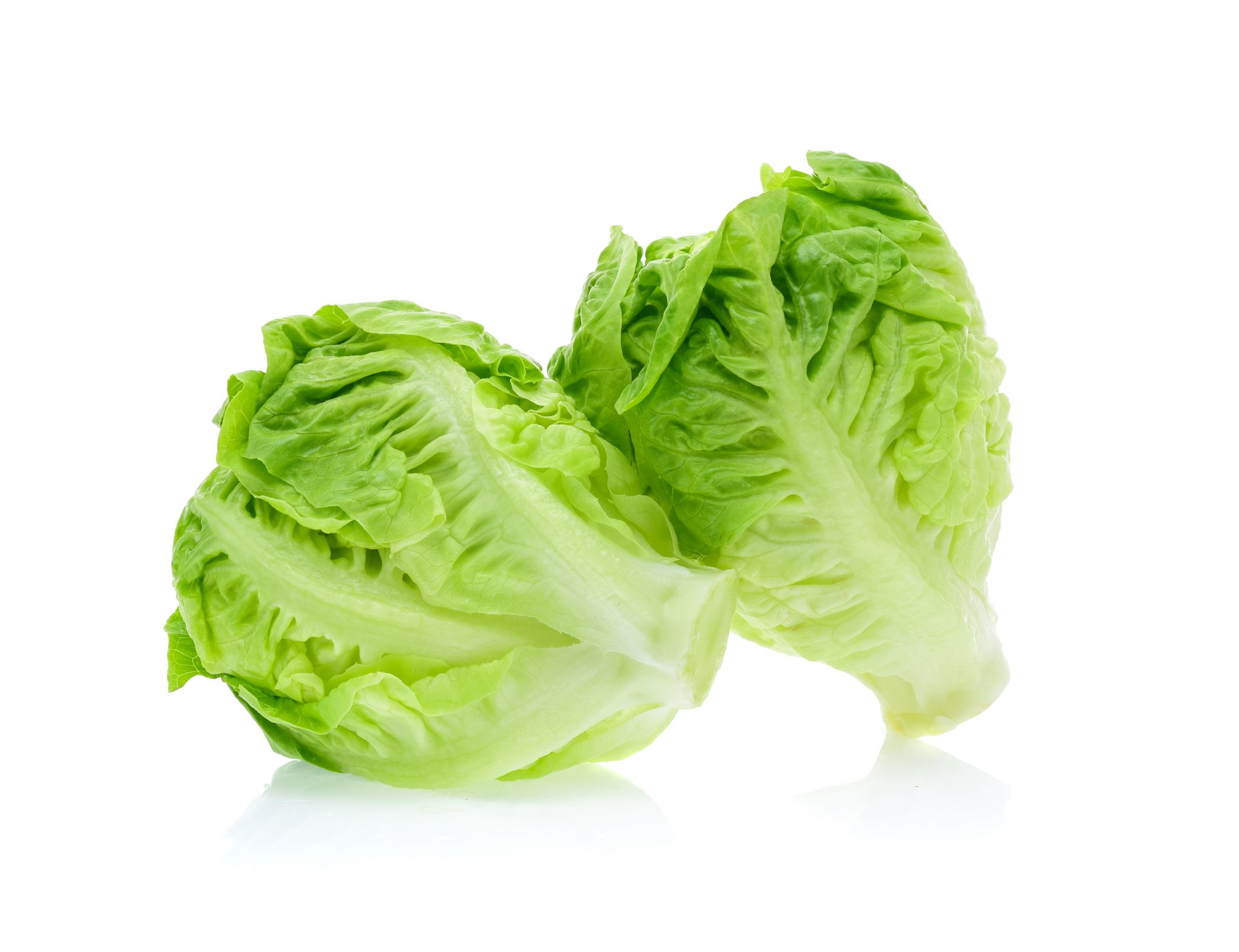 Lechuga baby fresca ligera y nutritiva - Hortalizas Ortiz